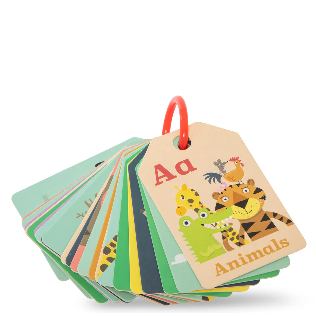 Tiger Tribe - Flash Cards - Animal ABC – Curio
